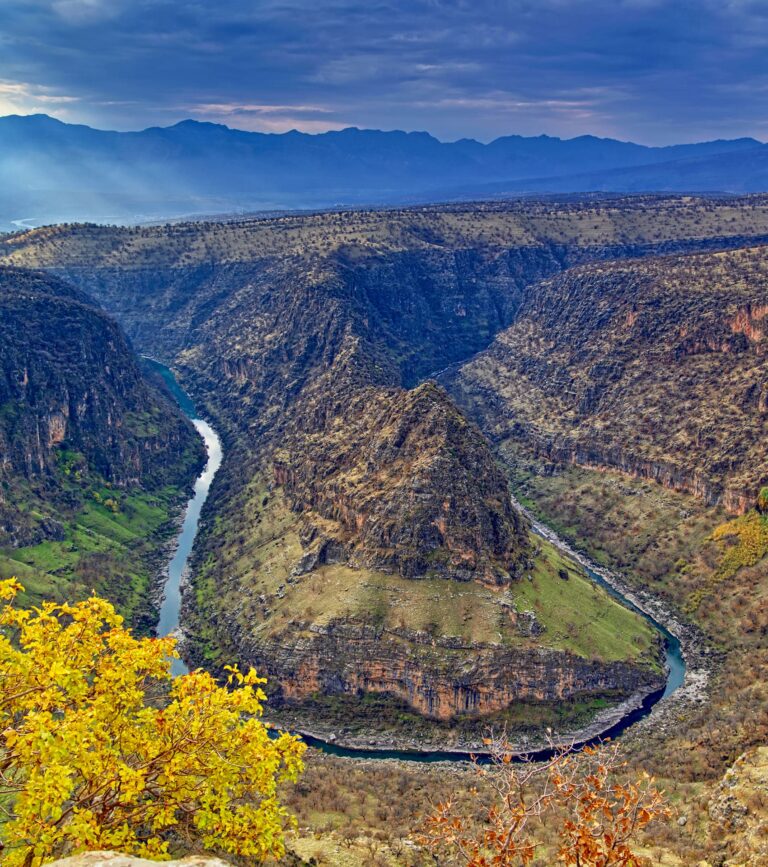 Our Story | Chirok Health